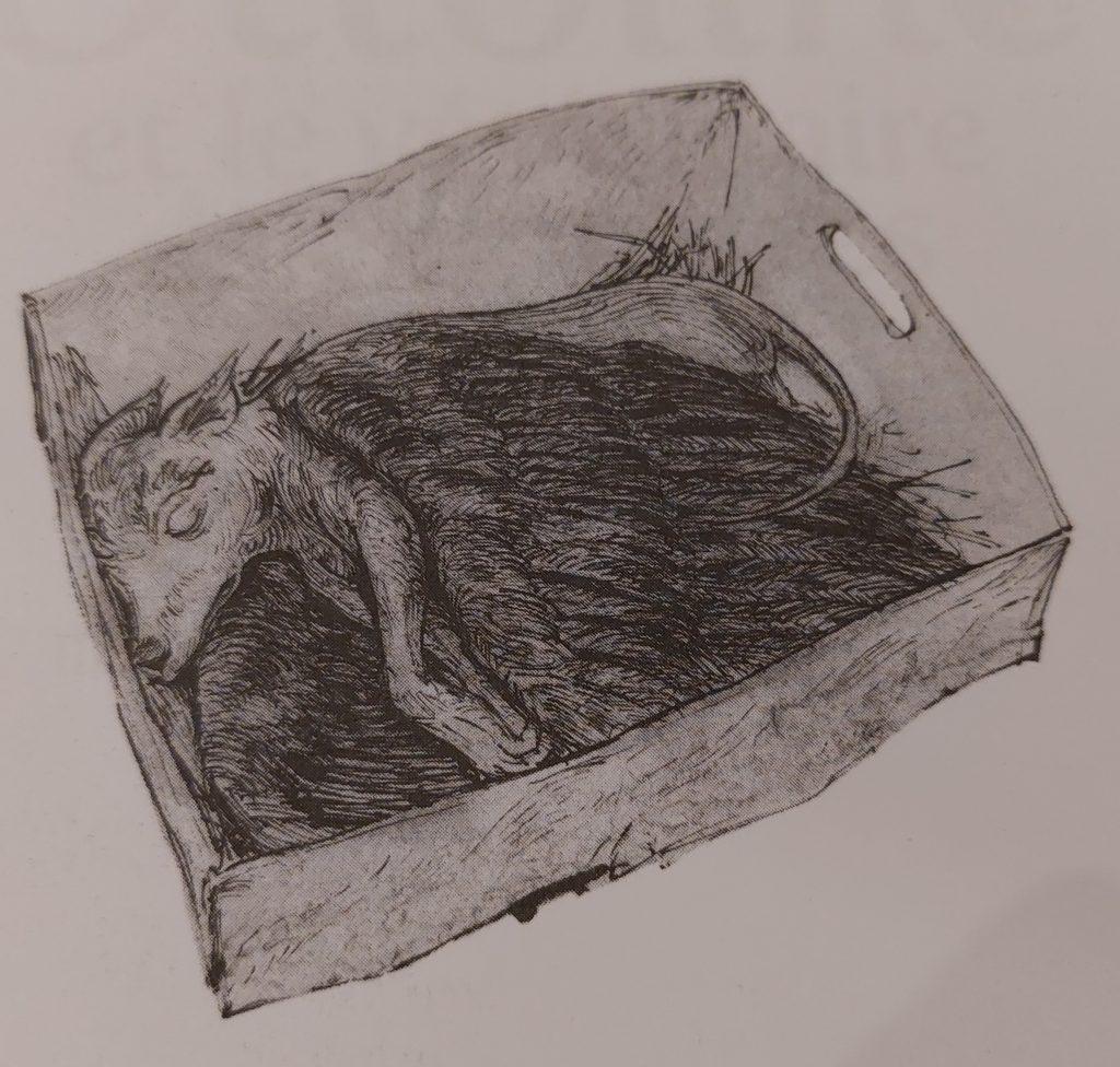 * Littérature jeunesse Archives ⋆ Délivrer Des Livres