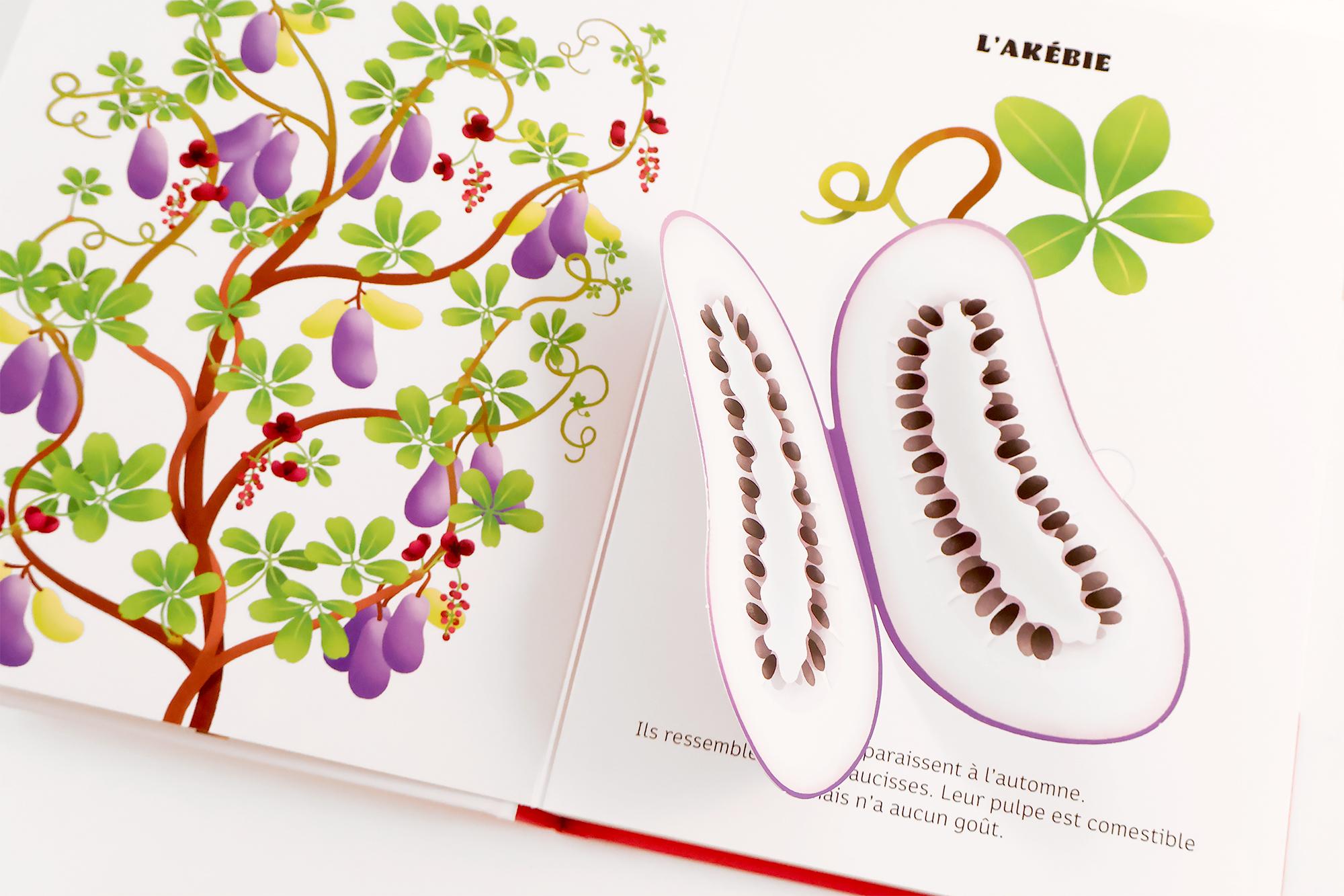* Littérature jeunesse Archives ⋆ Délivrer Des Livres
